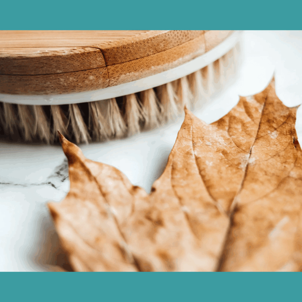 Dry Brushing for Radiant Skin - Wellness Tools for Thriving